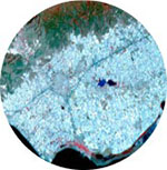 MICROPLAS